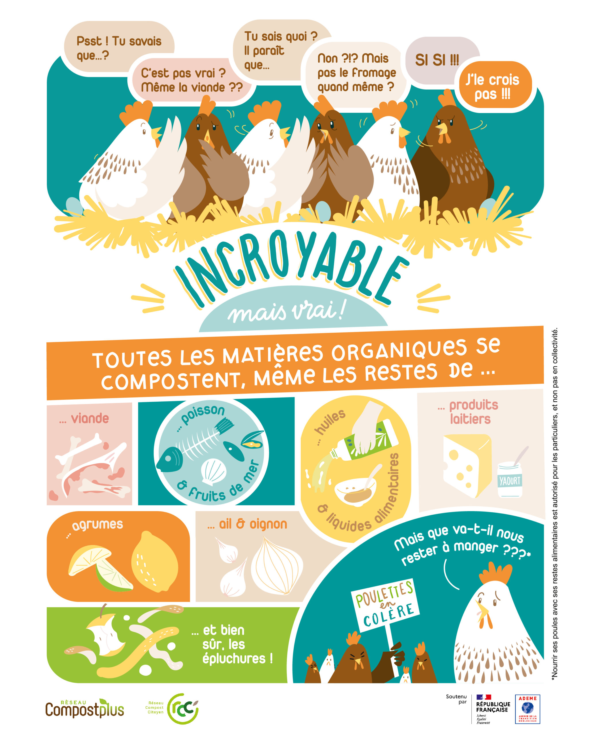 Infographies - CompostPlus